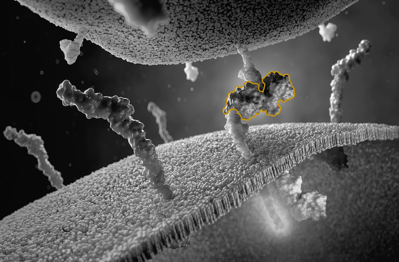 MiroBio - Oxford Science Enterprises